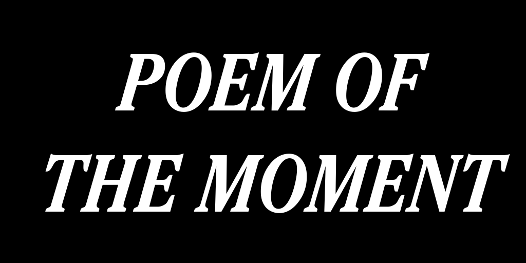 Poem of the Month: “Clowns” by Robbie Q. Telfer - Not a Lot of Reasons ...